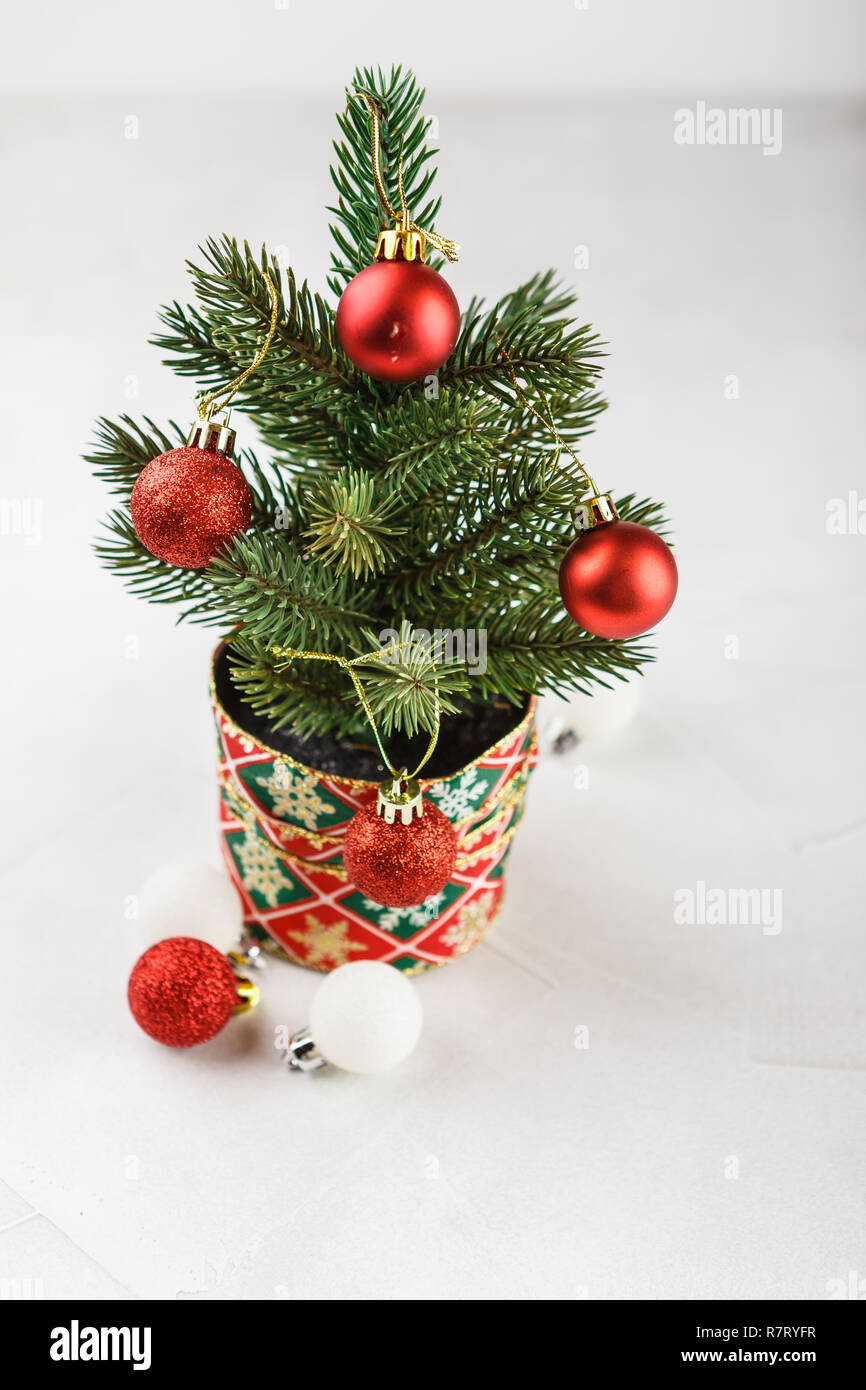 Decorated small tree hi-res stock photography and images - Alamy