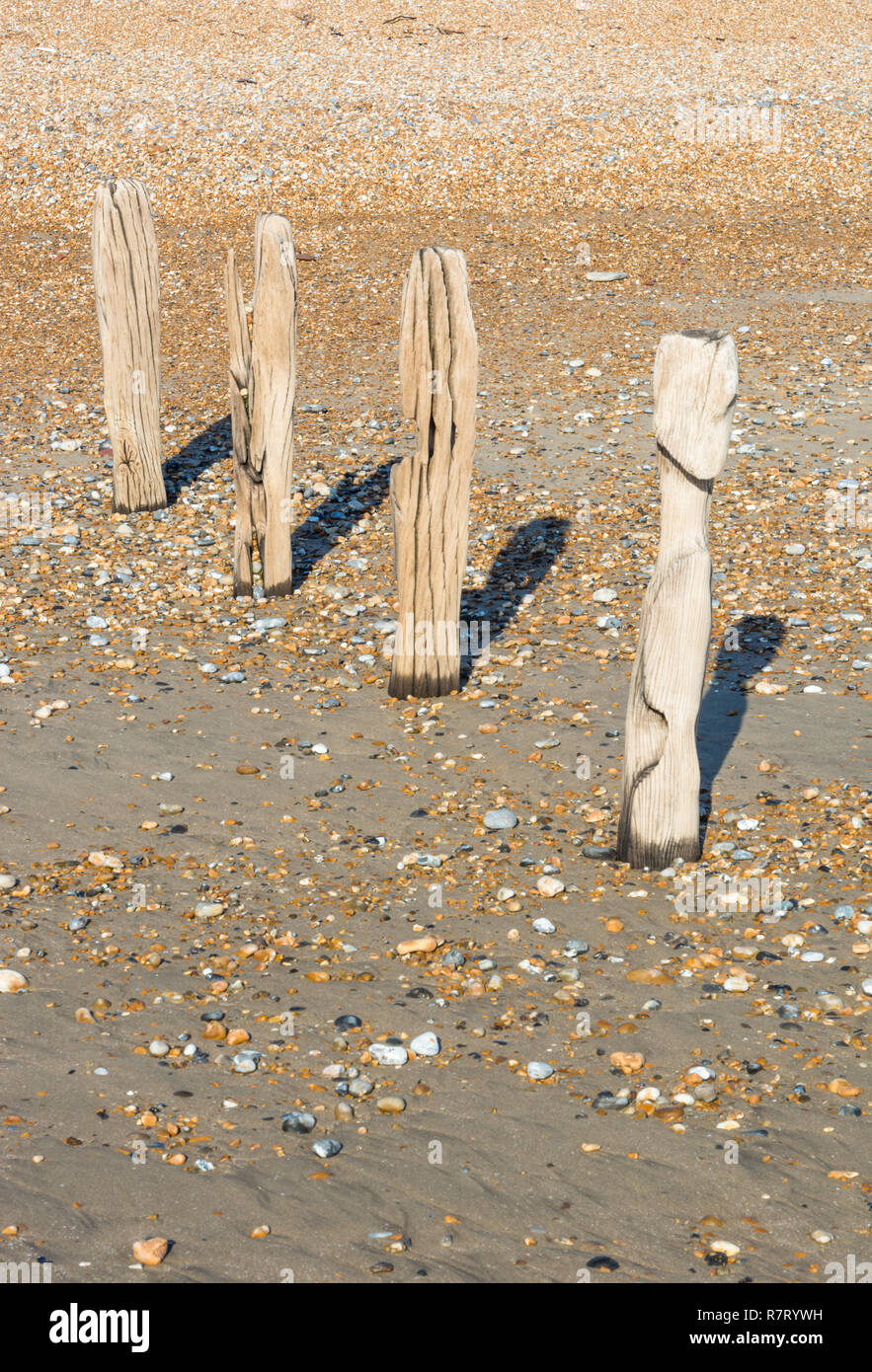 Wooden posts on the beach High Resolution Stock Photography and Images ...