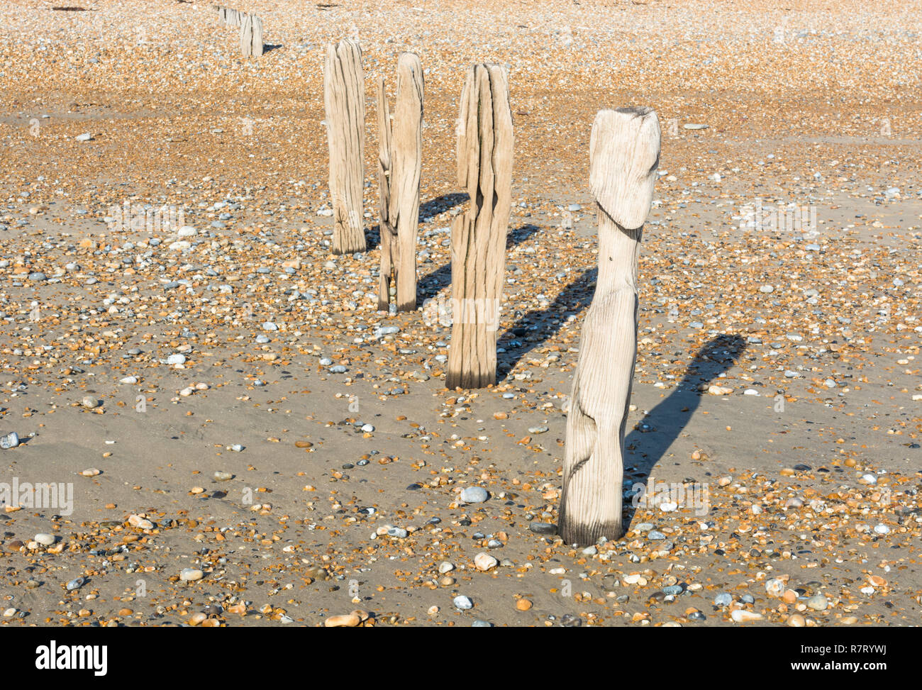 Wooden posts on a beach Stock Photo - Alamy