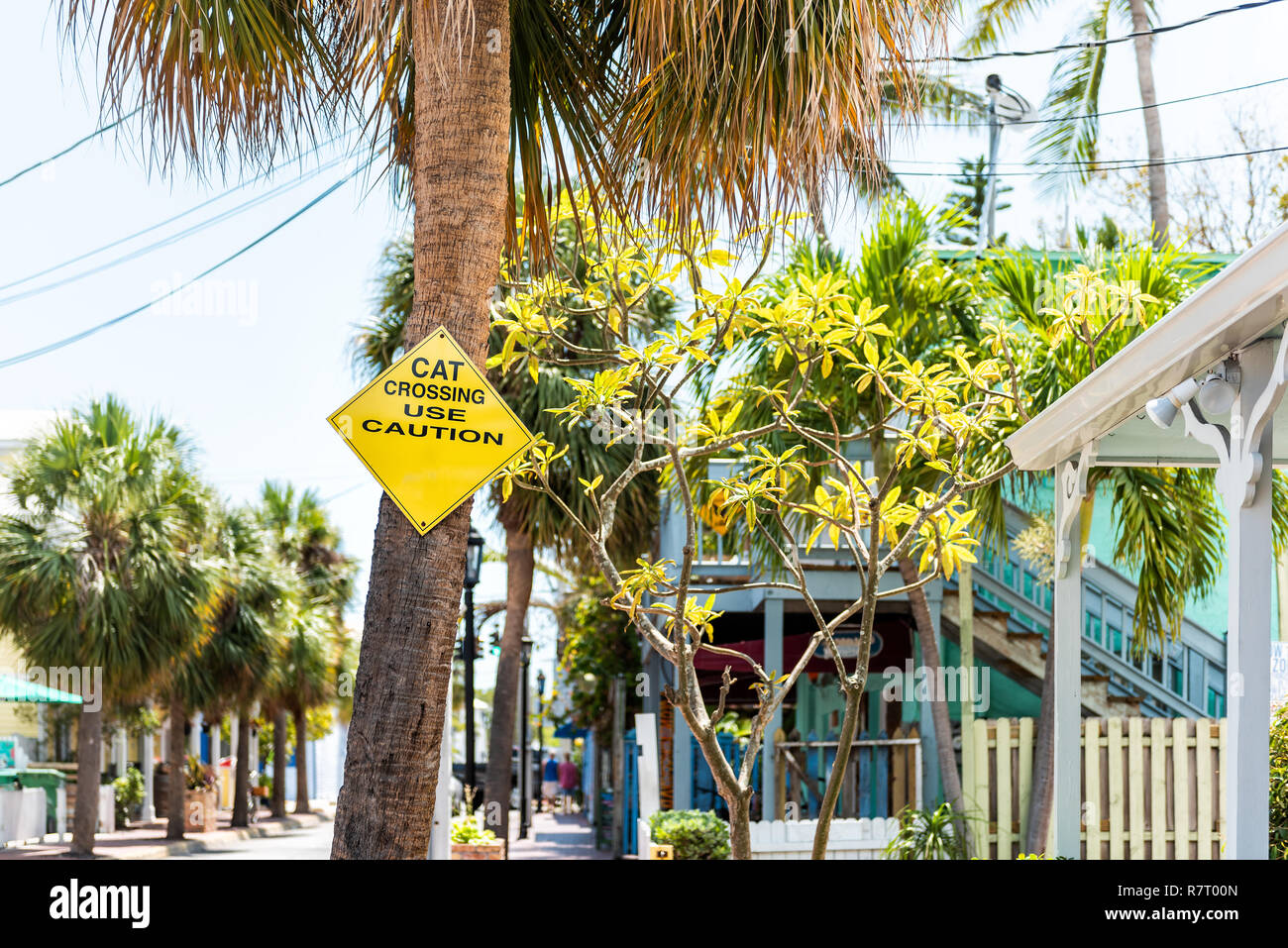 Cat traffic sign hi-res stock photography and images - Alamy