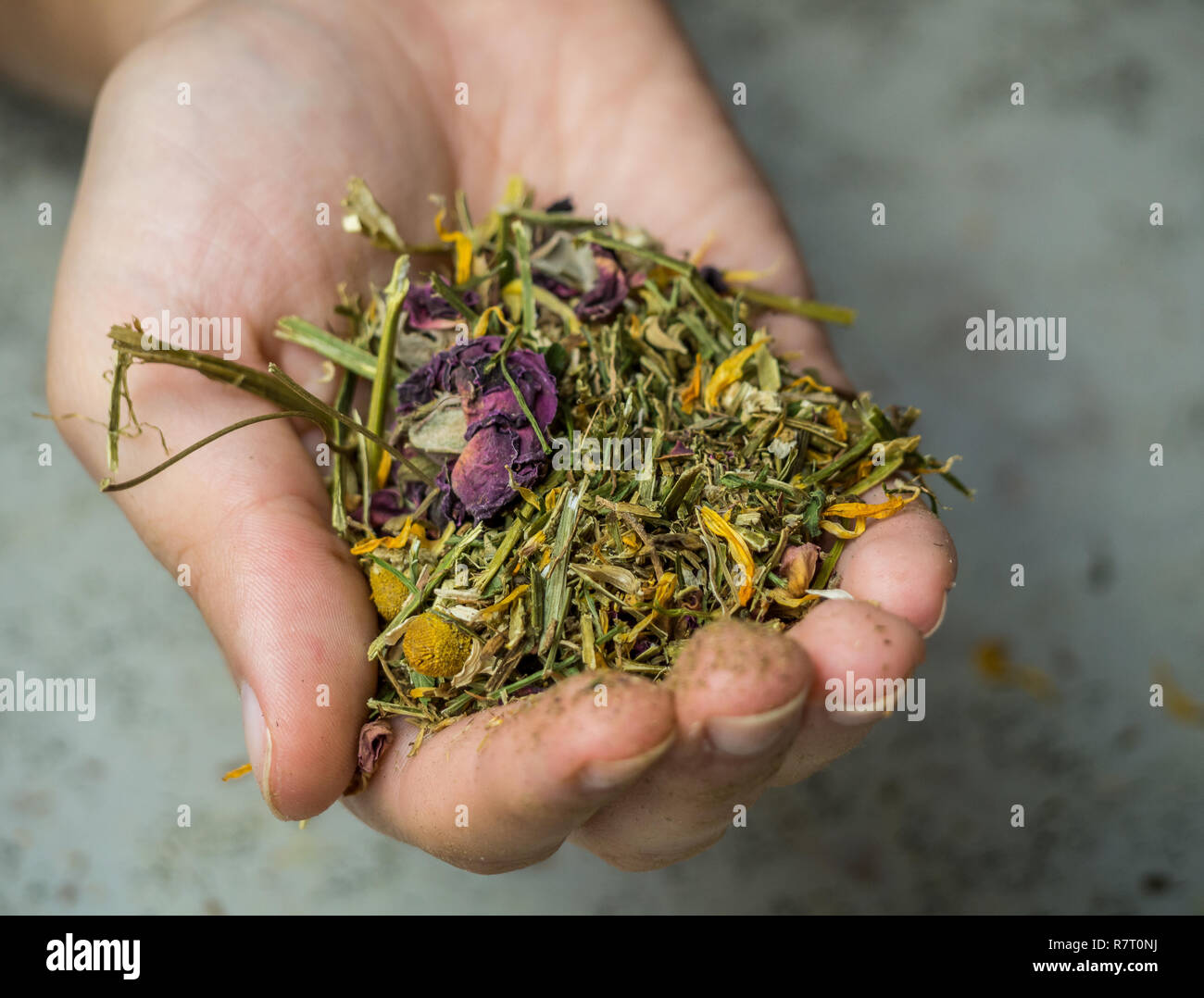 Biotea hi-res stock photography and images - Alamy