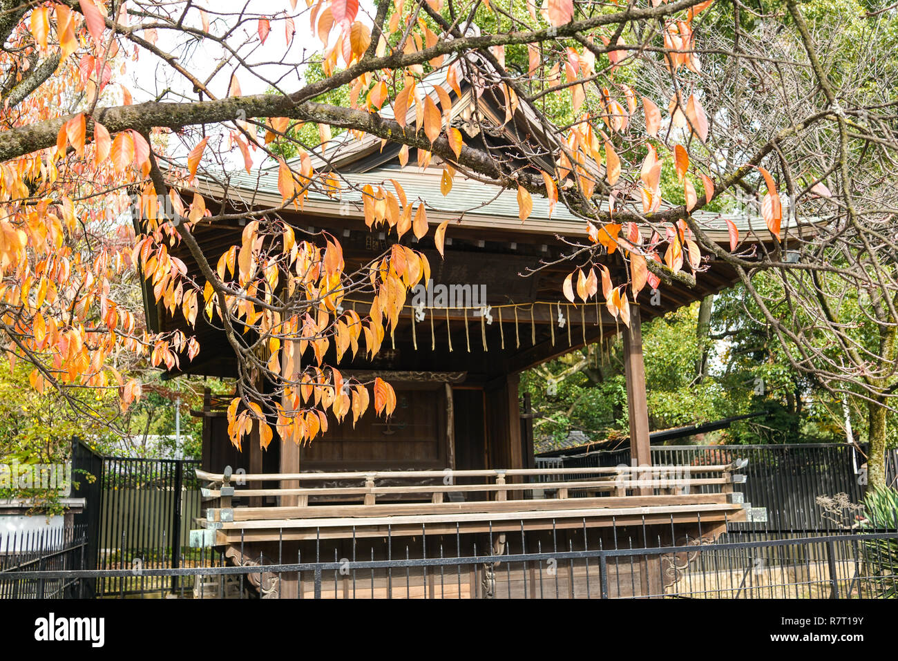Autumn scenes in japan hi-res stock photography and images - Alamy