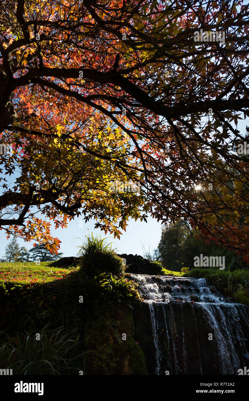 Waterfall and lake at Little Bredy, Dorset Stock Photo - Alamy