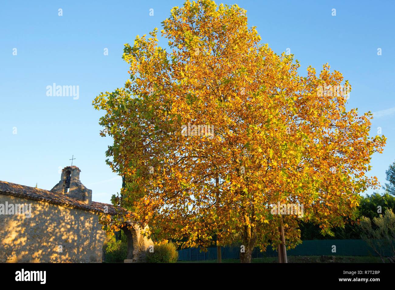 Lorgues church france hi-res stock photography and images - Alamy