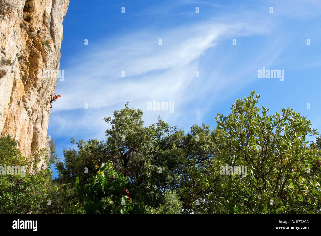 France, Var, Dracenie, Chateaudouble, Chateaudouble Gorge, Marinouns ...