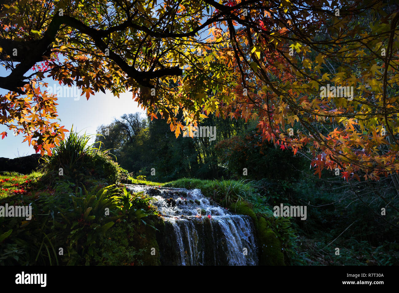 Little bredy dorset hi-res stock photography and images - Alamy