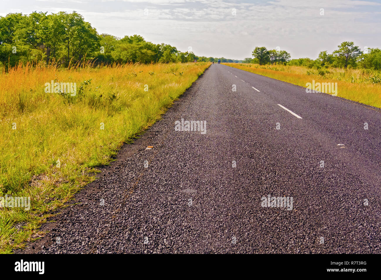 Rural landscape in Botswana near border with Zambia Stock Photo - Alamy