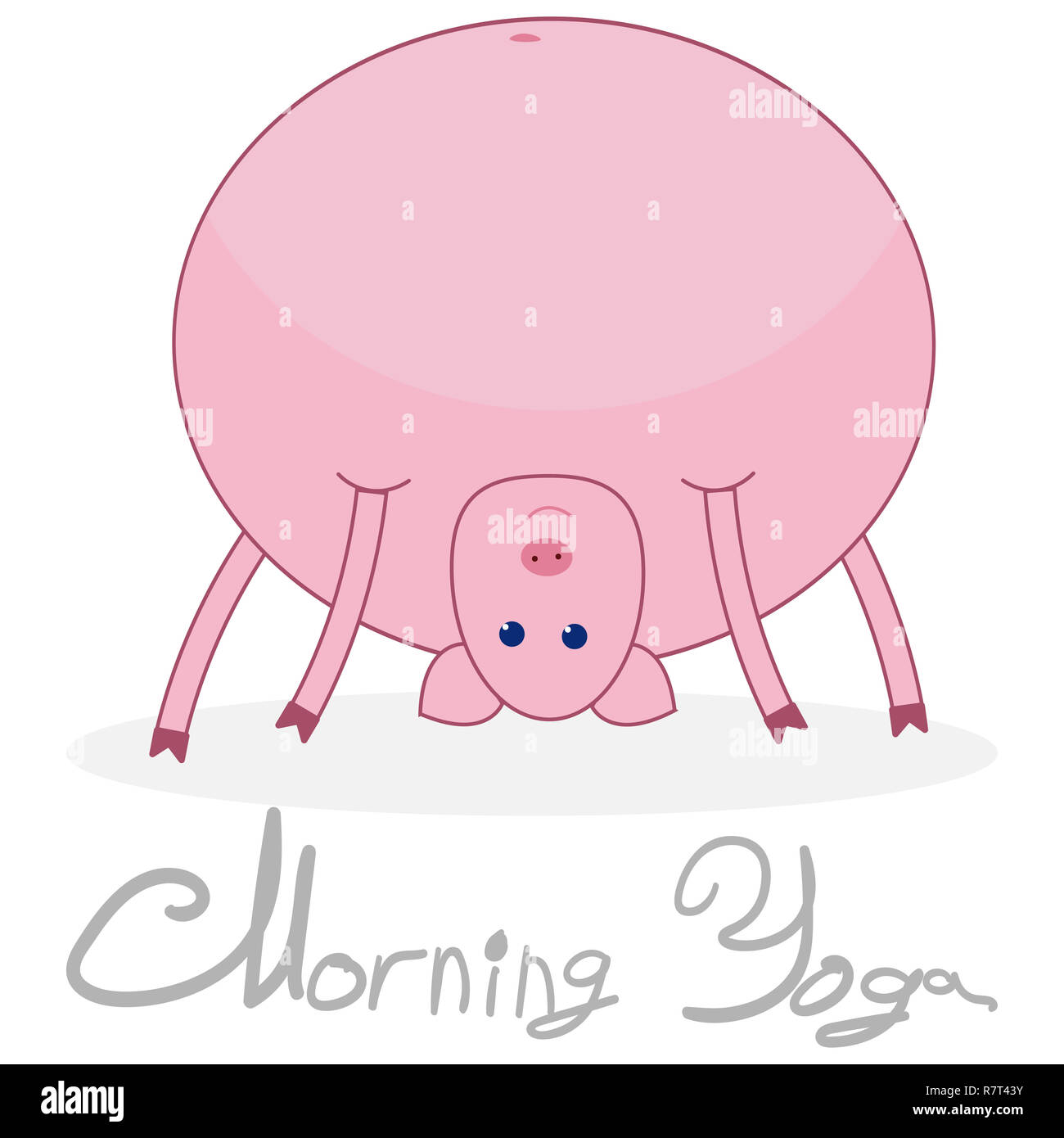 Morning yoga with a pig. The pig stands in the pose of the bridge. Pig ...
