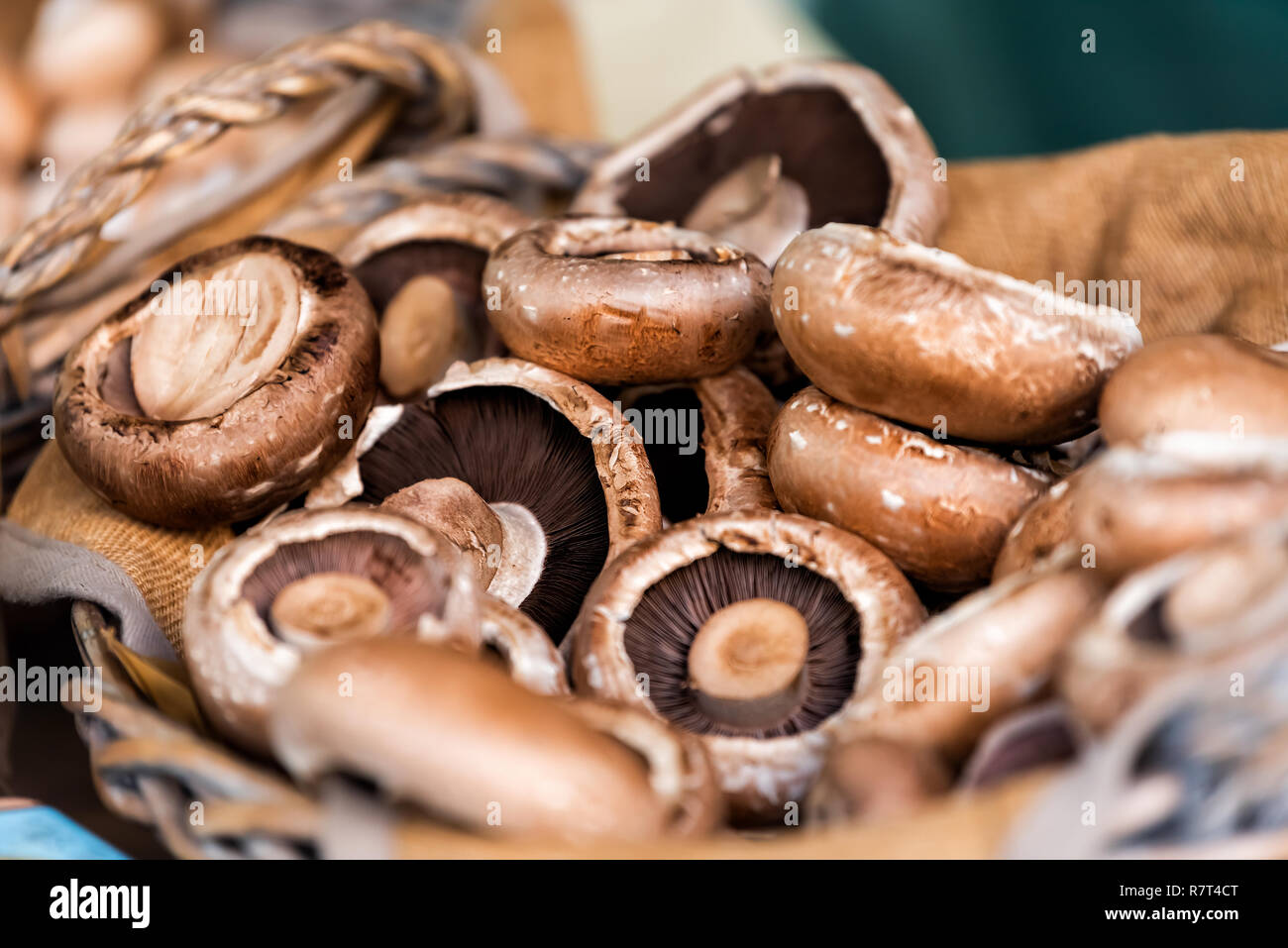 Mushrooms on display farmers market hi-res stock photography and images ...
