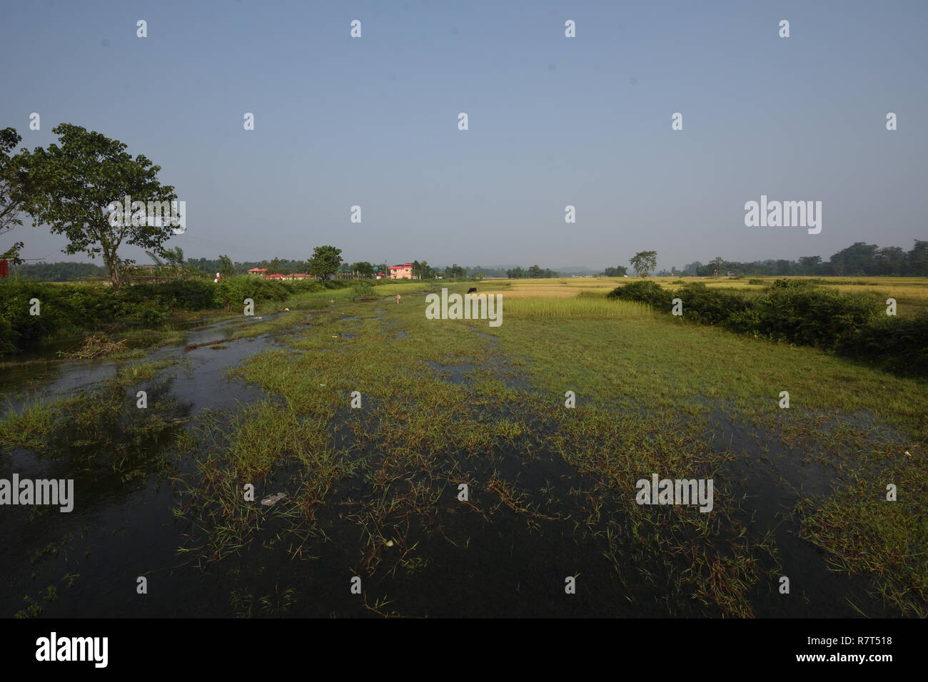 Chalsa hi-res stock photography and images - Alamy