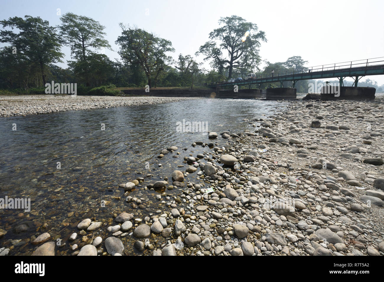 River Murti in Gorumara National Park at Jalpaiguri district of West ...