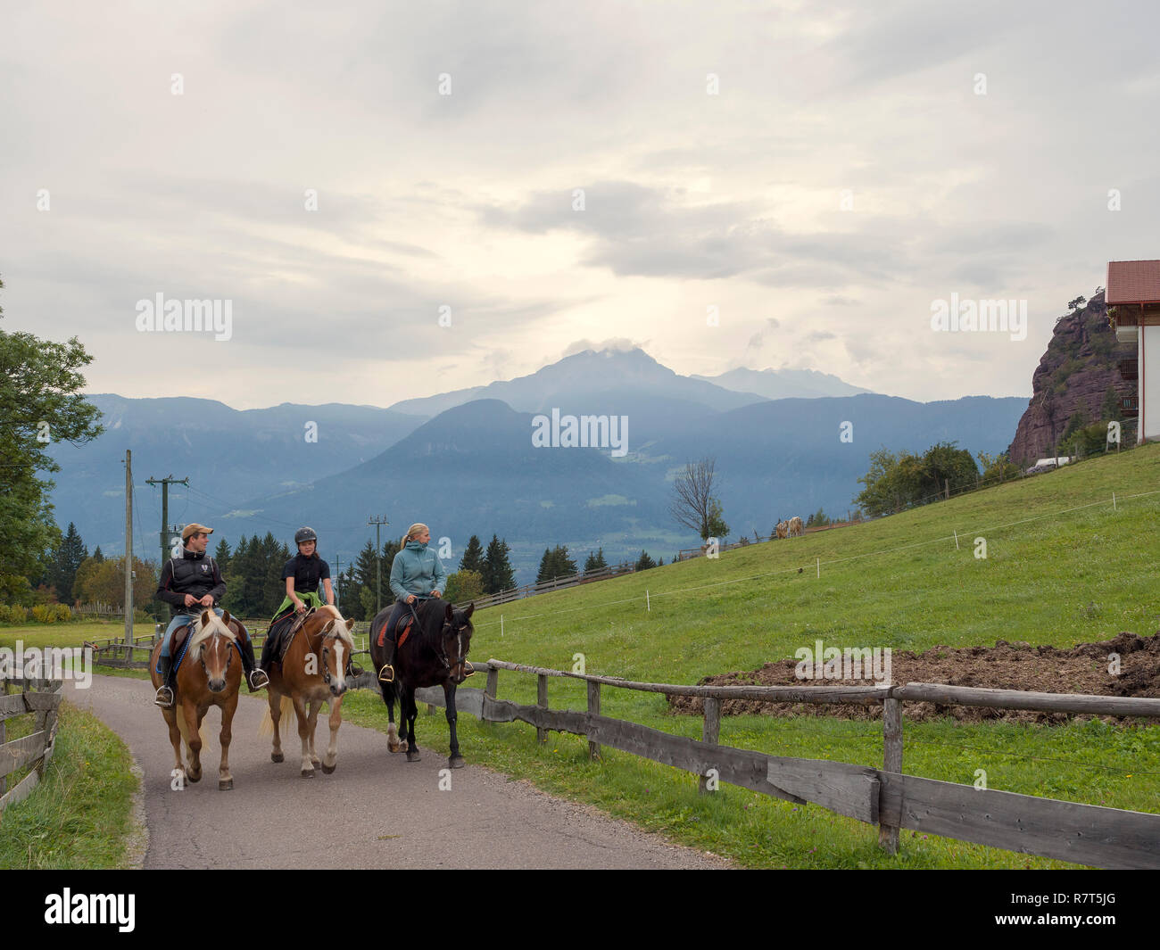 Rider haflinger hi-res stock photography and images - Alamy