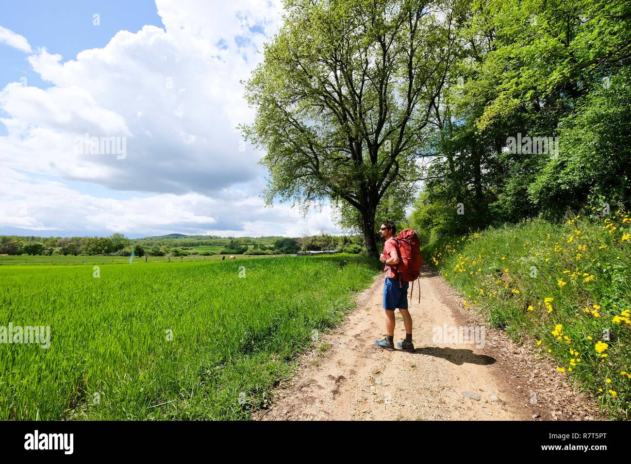 France, Haute Garonne, Boussens, hiker on the heights of Boussens Stock ...