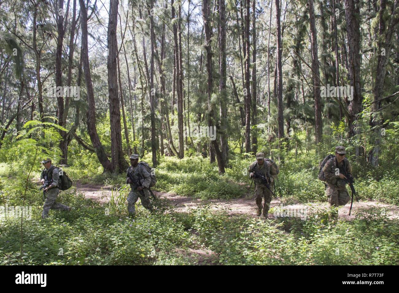 MARINE CORPS TRAINING AREA BELLOWS, Hawaii (March 30, 2017) Members of ...