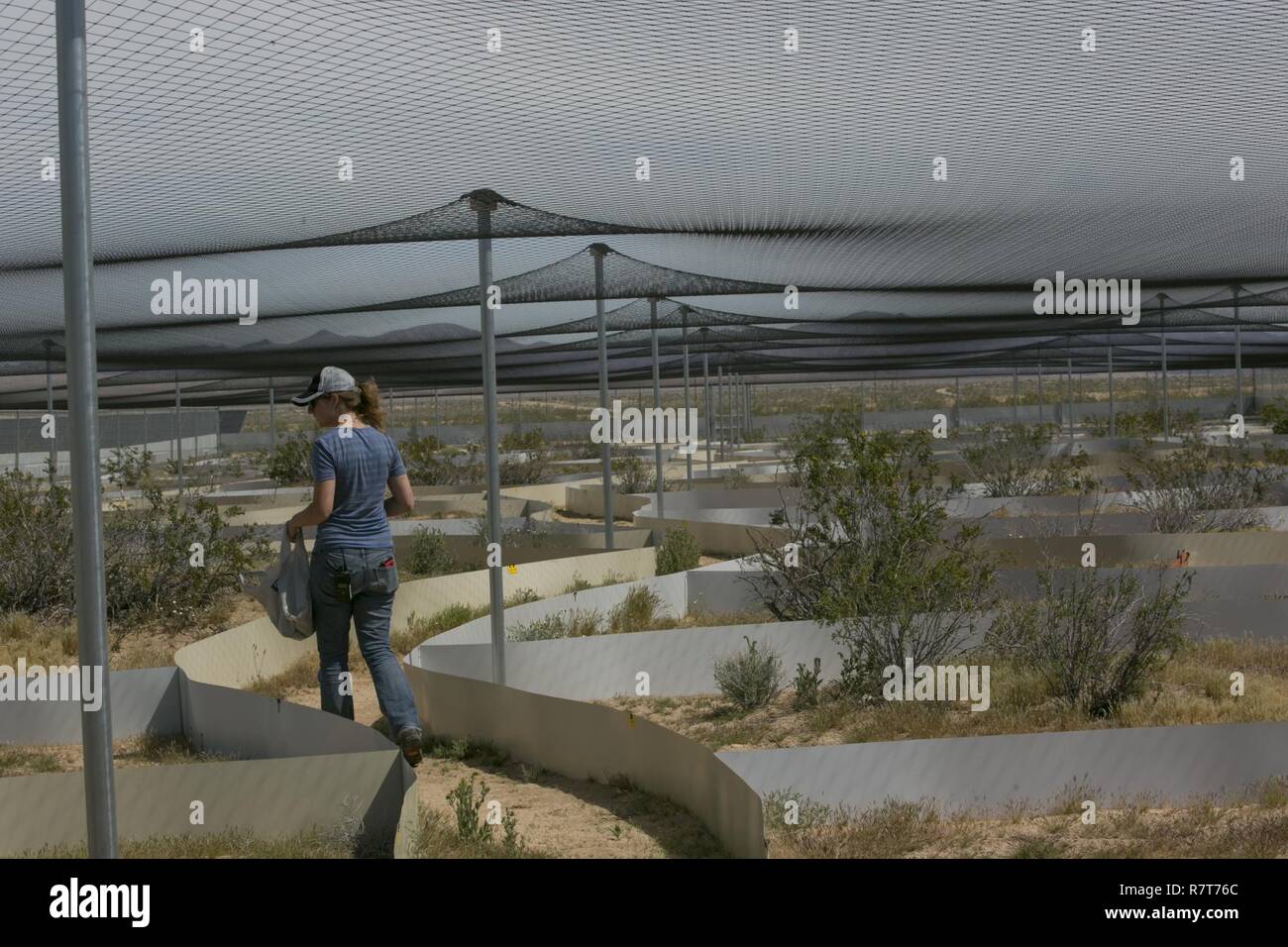 Captive resources hi-res stock photography and images - Alamy