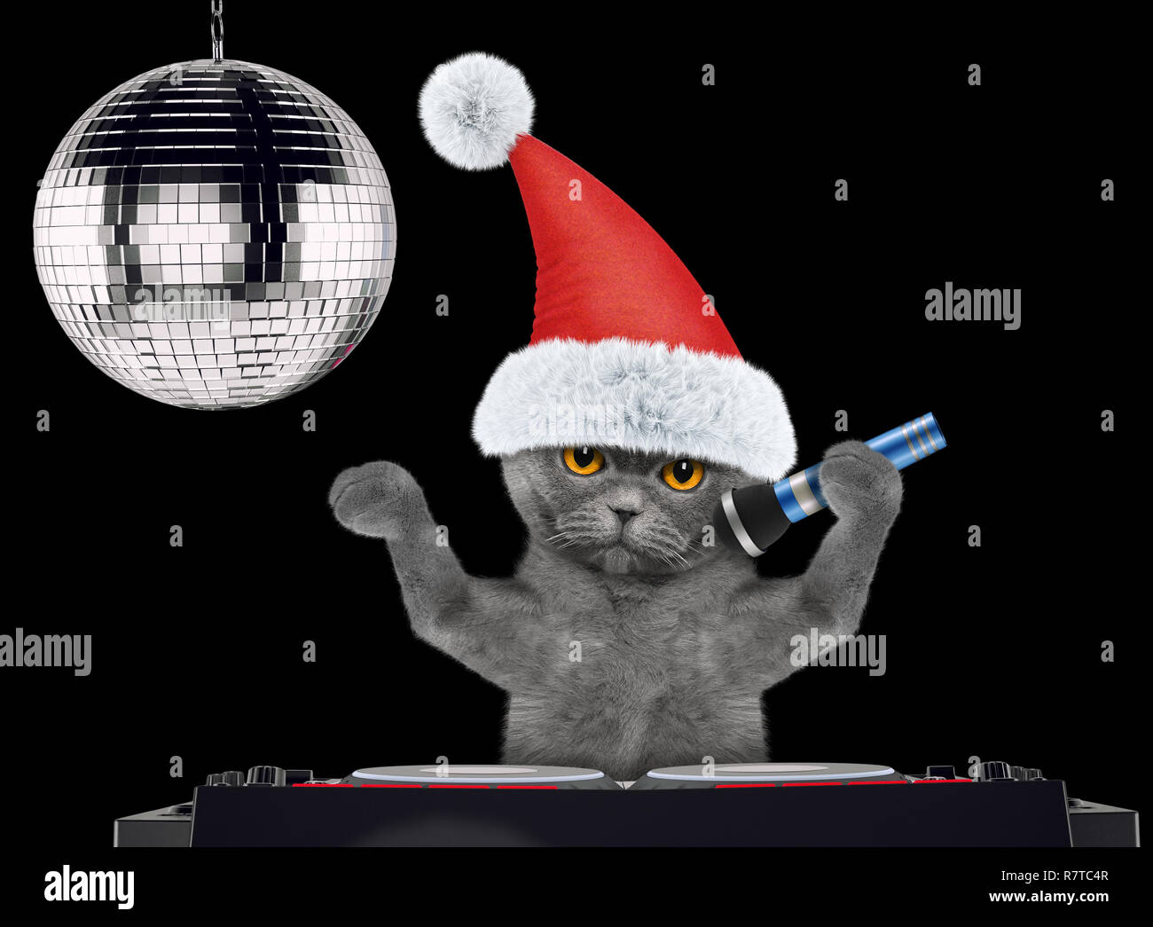Cute cat in christmas hats singing with microphone a karaoke song ...