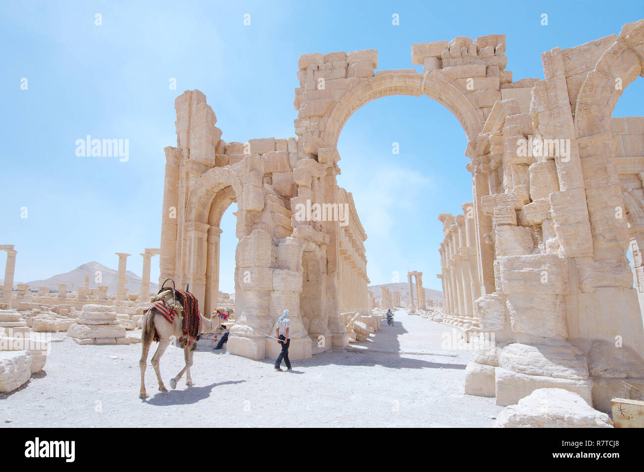 Ruins in the ancient city of Palmyra, Palmyra, Tadmur, Palmyra District ...