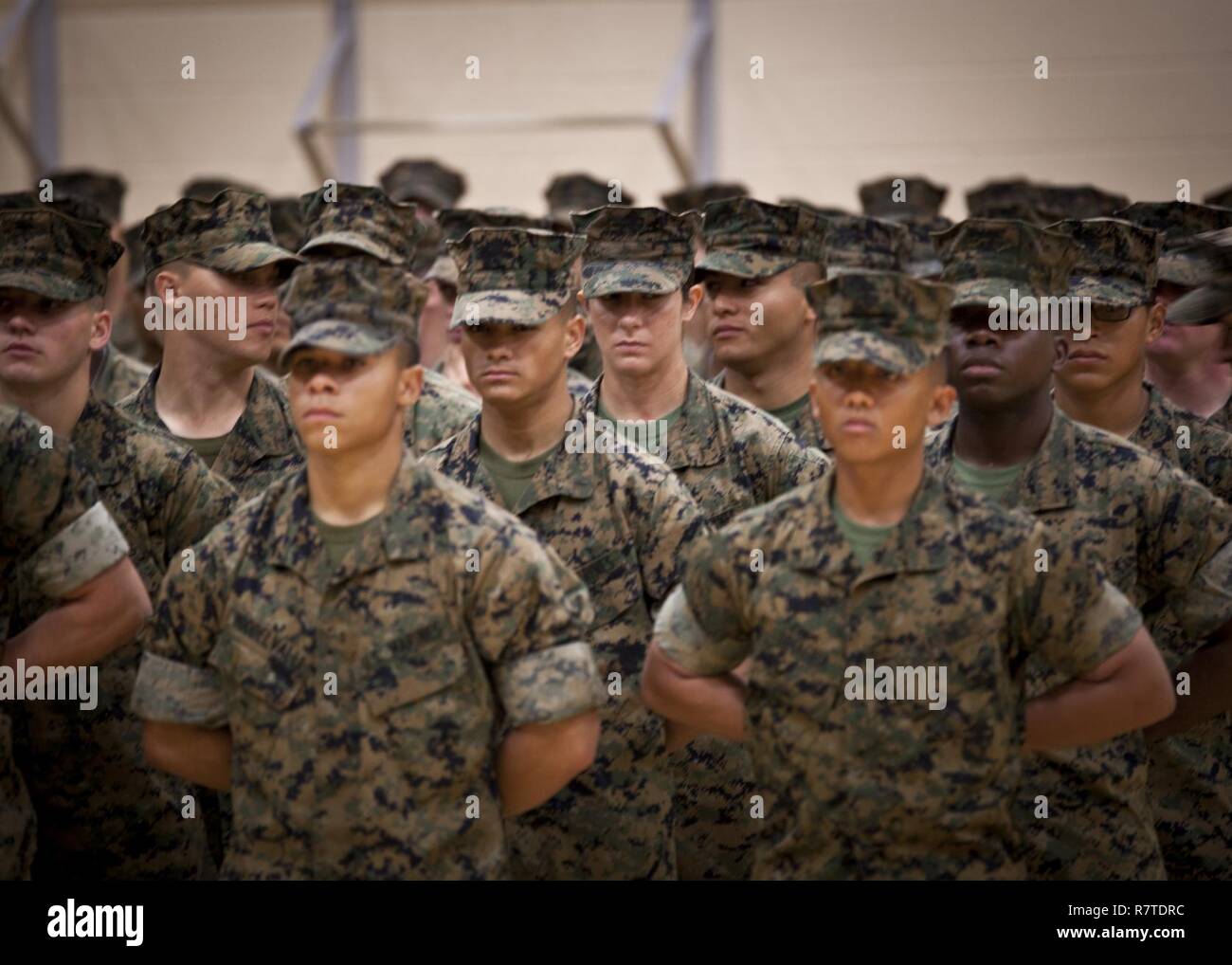 School of infantry east camp geiger marine corps usmc hi-res stock ...