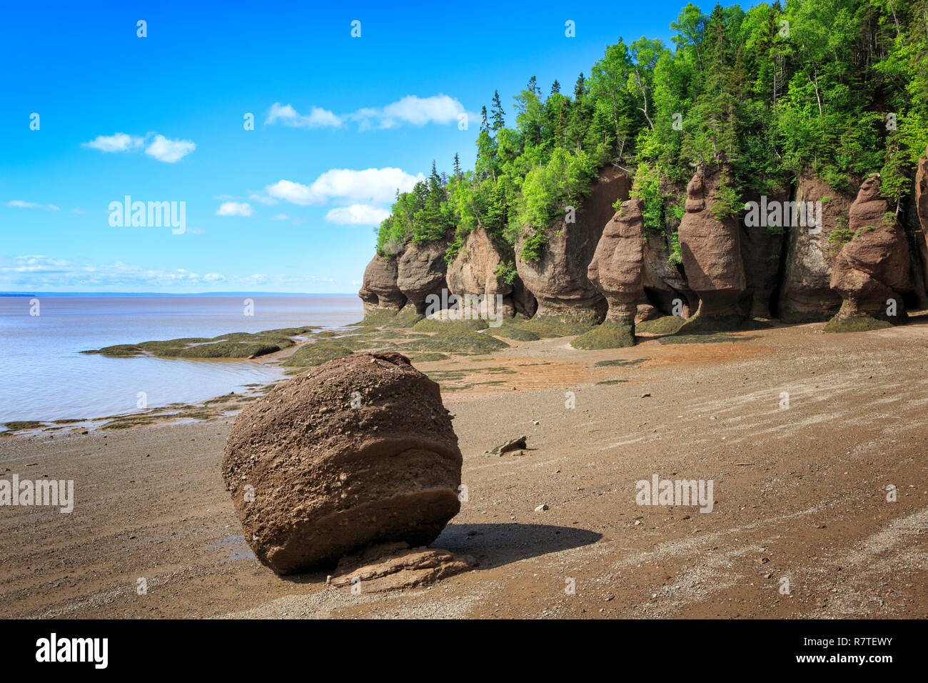 The Hopewell Rocks are stone formations in 'The Rocks Privincial Park ...