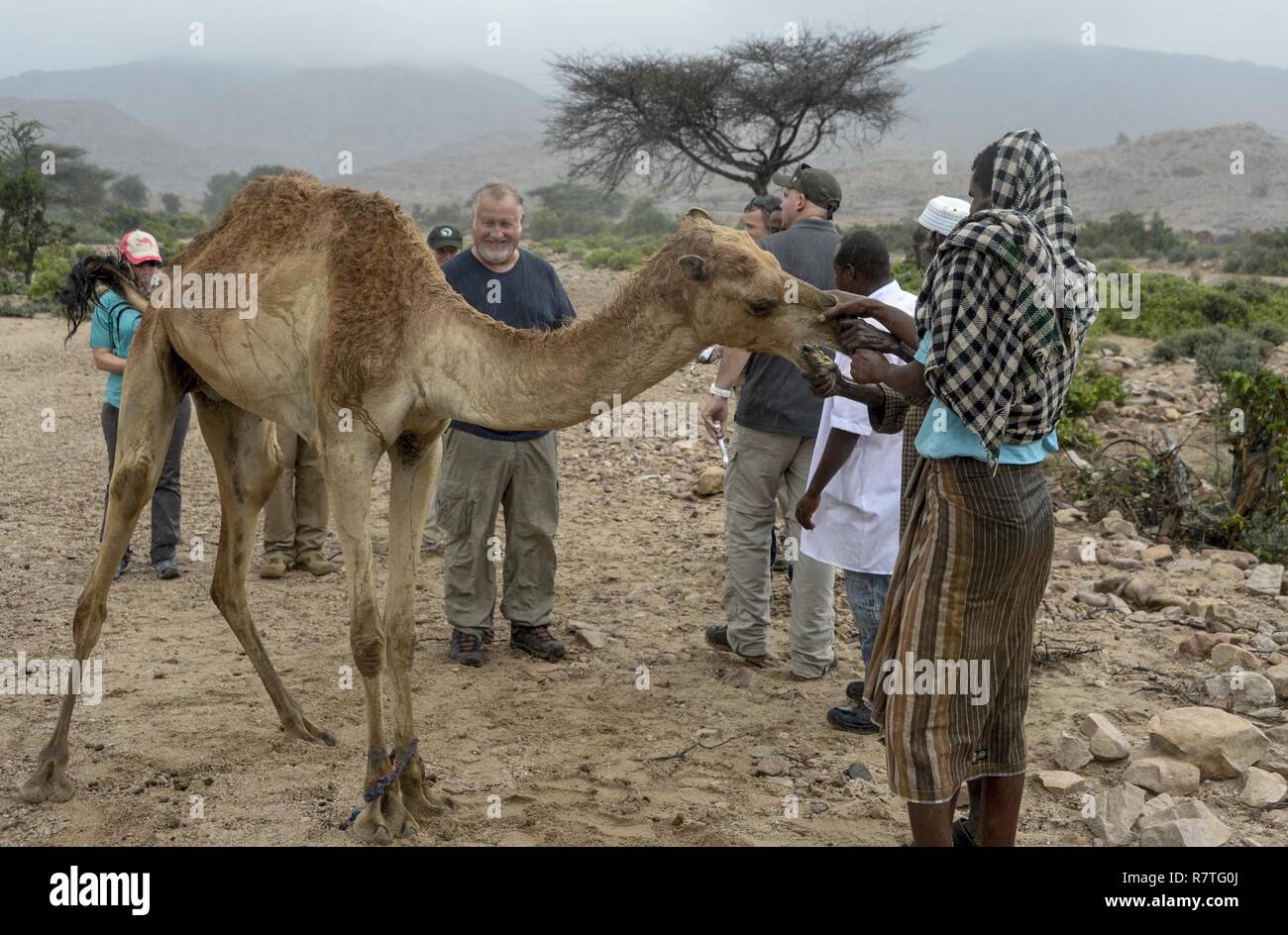 Somali nomad hi-res stock photography and images - Alamy