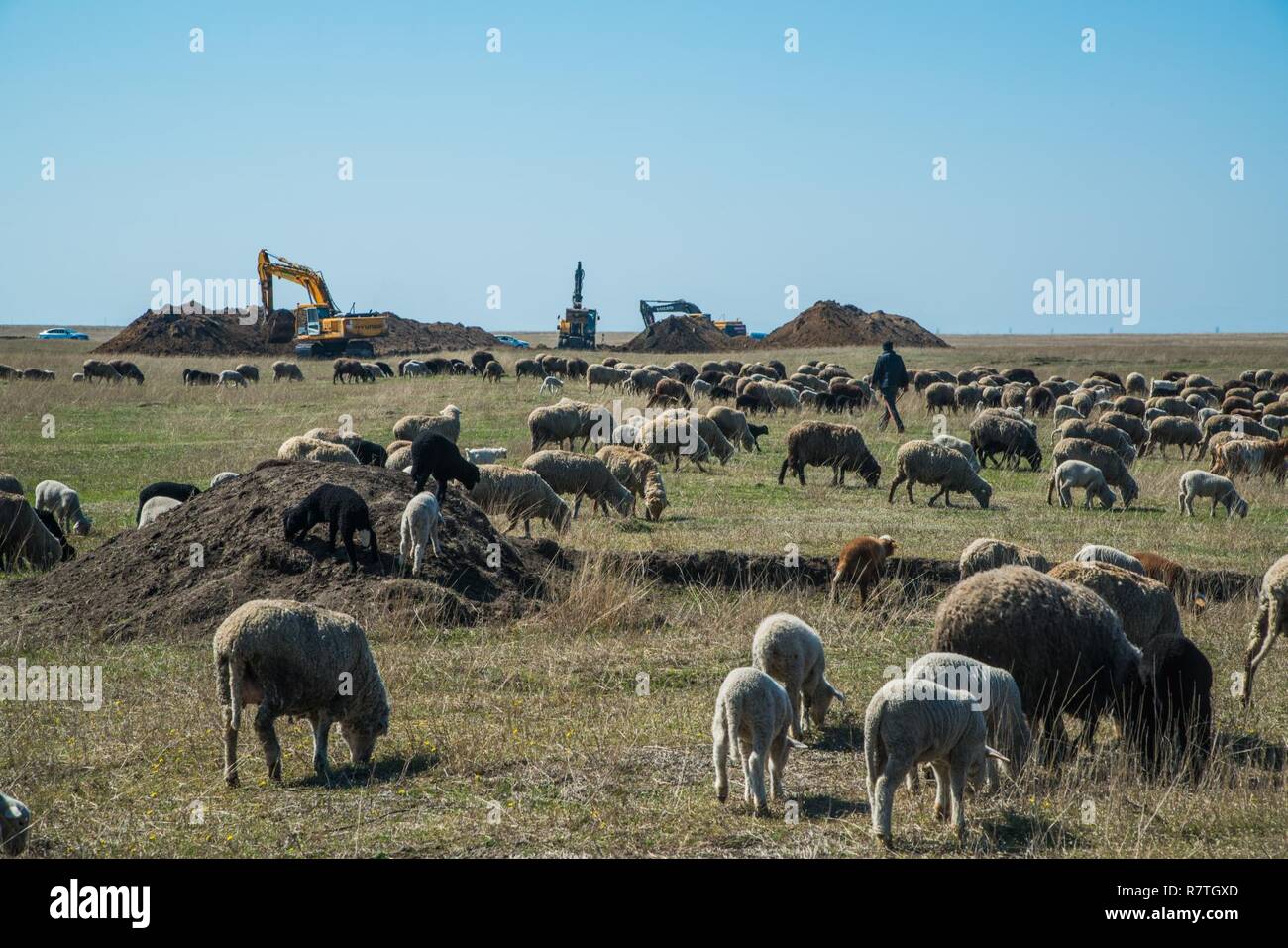 Theissen mover armor target hi-res stock photography and images - Alamy