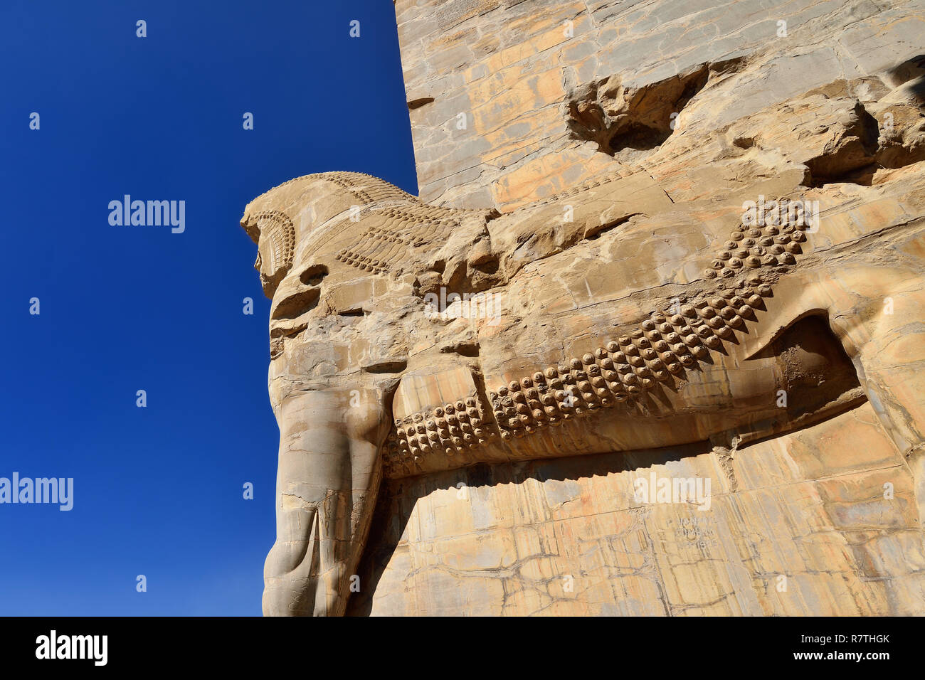 Iran, The beautiful reliefs in the ruins of Ancient Persepolis Complex ...