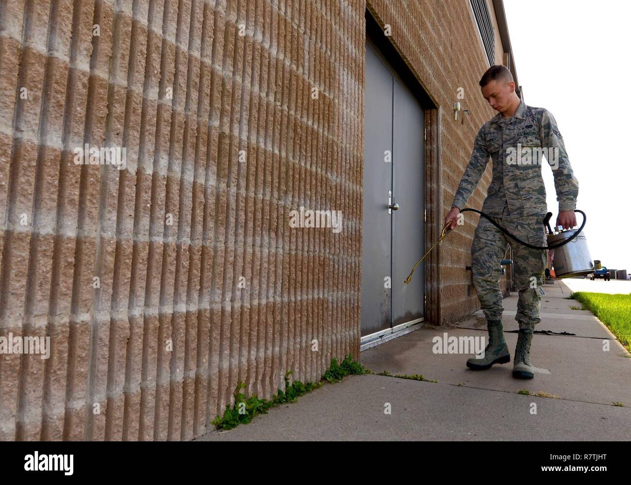 Airman 1st Class David Pitts, a pest management apprentice assigned to ...