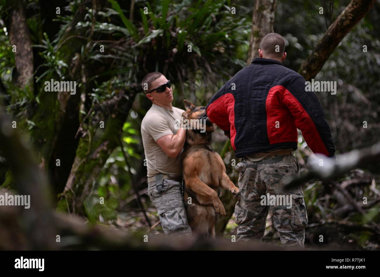 647th security forces squadron hi-res stock photography and images - Alamy