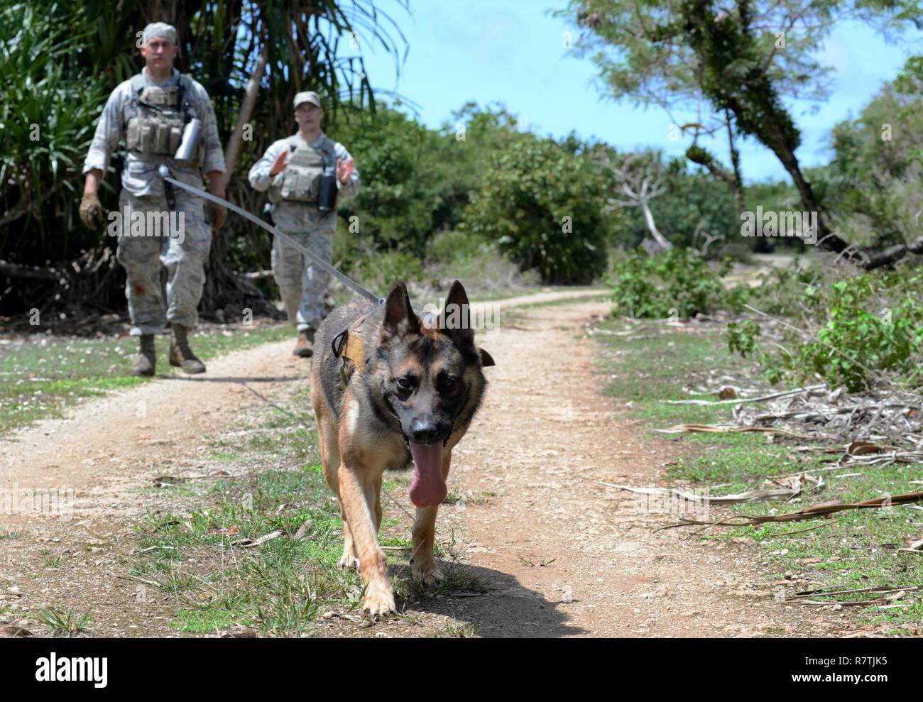 647th security forces squadron hi-res stock photography and images - Alamy
