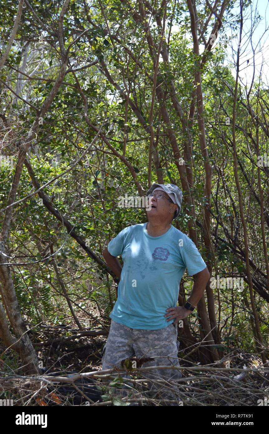 WAIANAE MOUNTAIN RANGE — Oahu Army Natural Resources Program volunteer ...