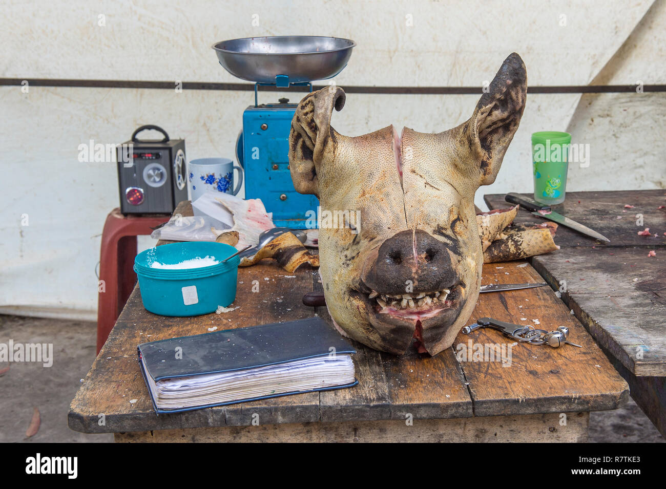 Food stall, pig's head on table, Otavalo market, Otavalo, Imbabura ...