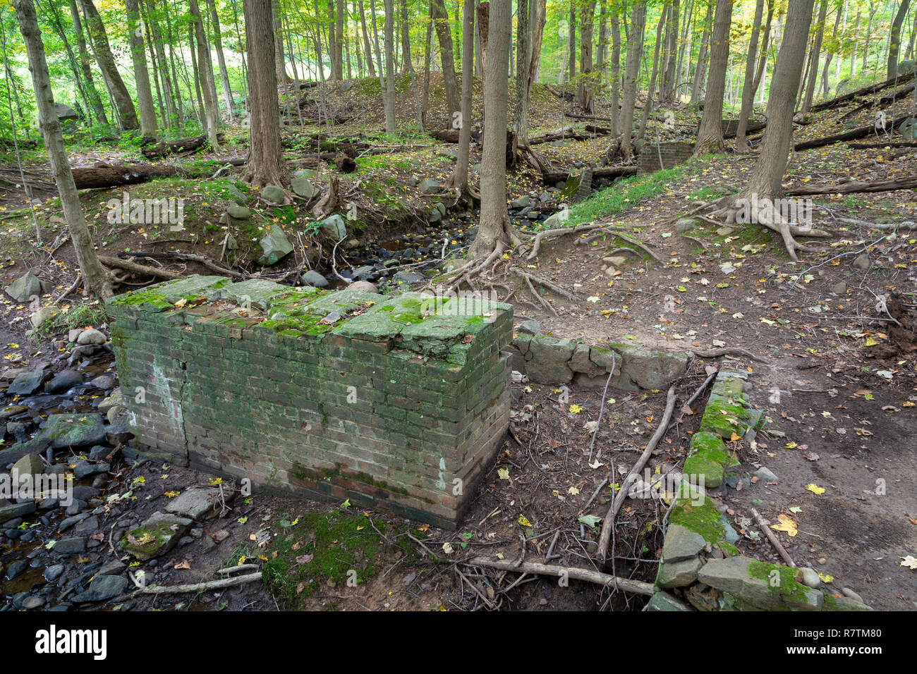 Tallman State Park High Resolution Stock Photography and Images - Alamy