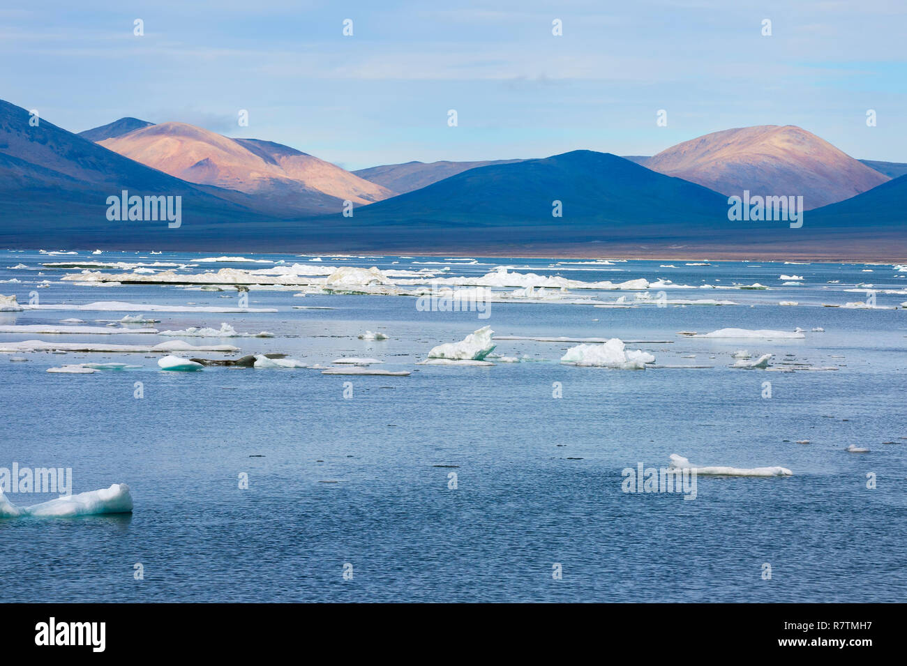 Ice floes off Wrangel Island, a UNESCO World Heritage Site, Wrangel ...