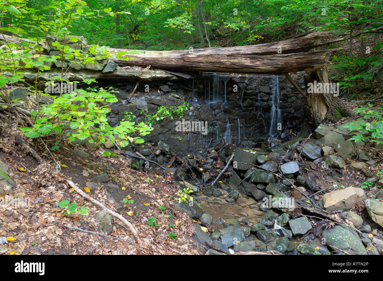 Tallman park hi-res stock photography and images - Alamy