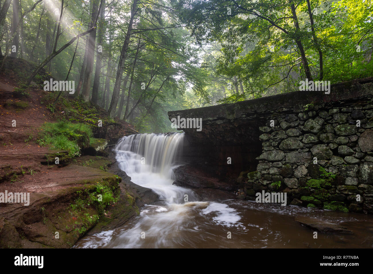 Sunbeams bursting through fog and forest above the Crum Creek waterfall ...