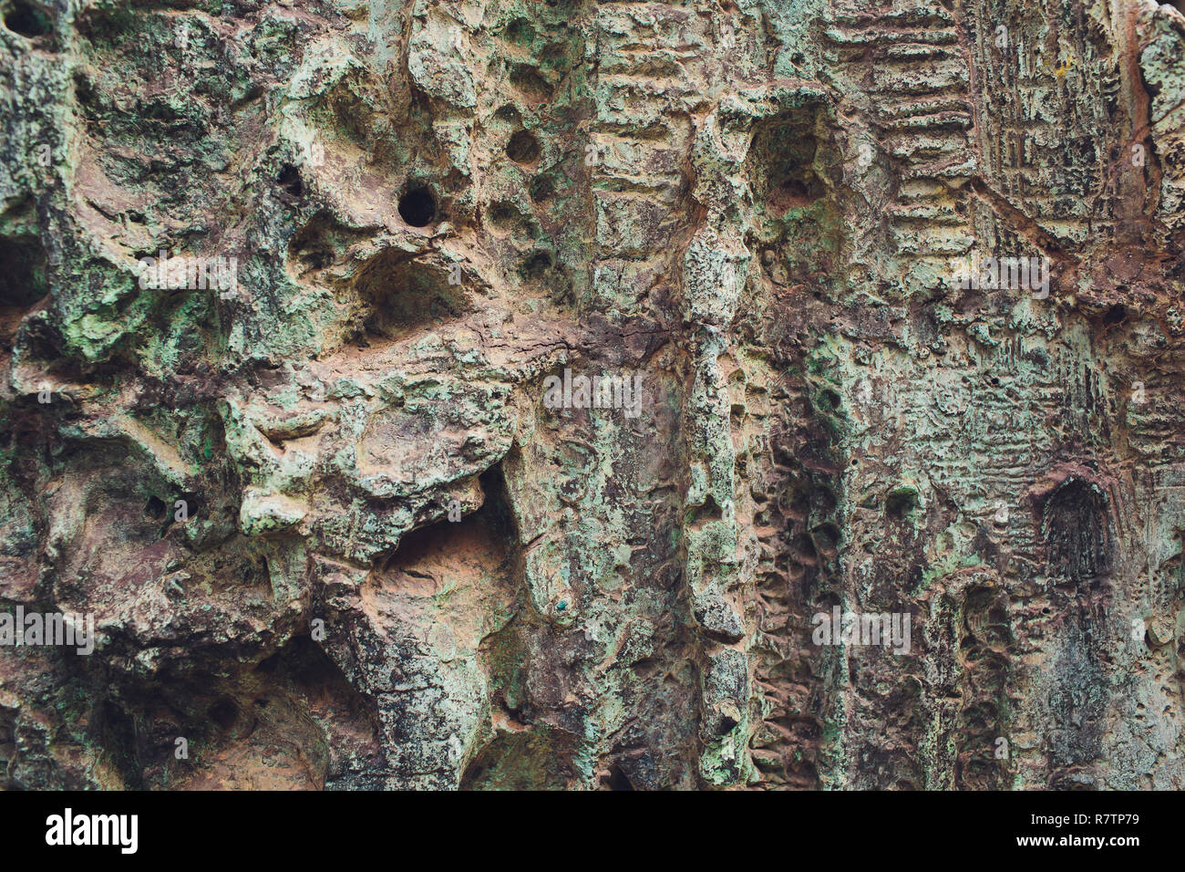 Fossil layers ground surface hi-res stock photography and images - Alamy