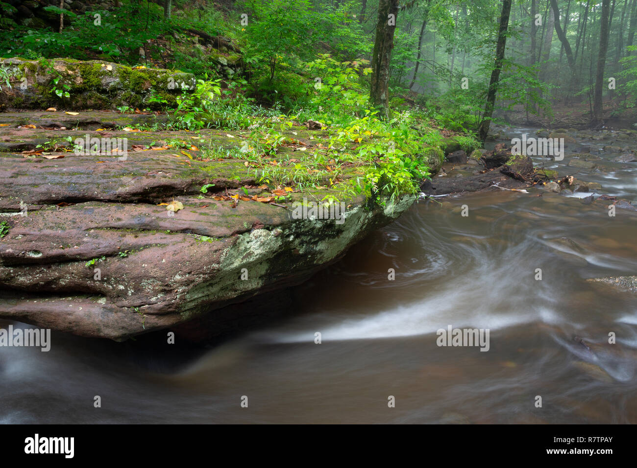 A rock ledge extending out over Crum Creek as it flows downstream ...