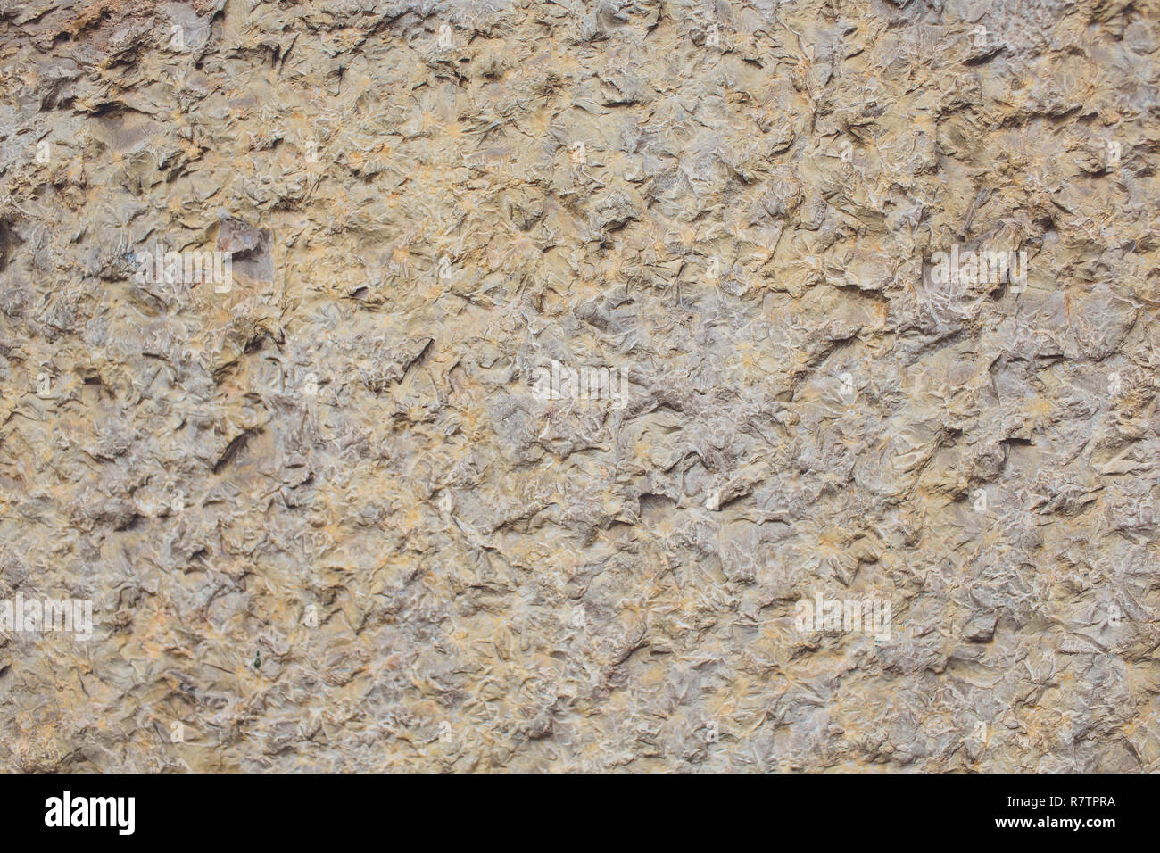 texture, background: old concrete wall with peeling plaster crumbling ...