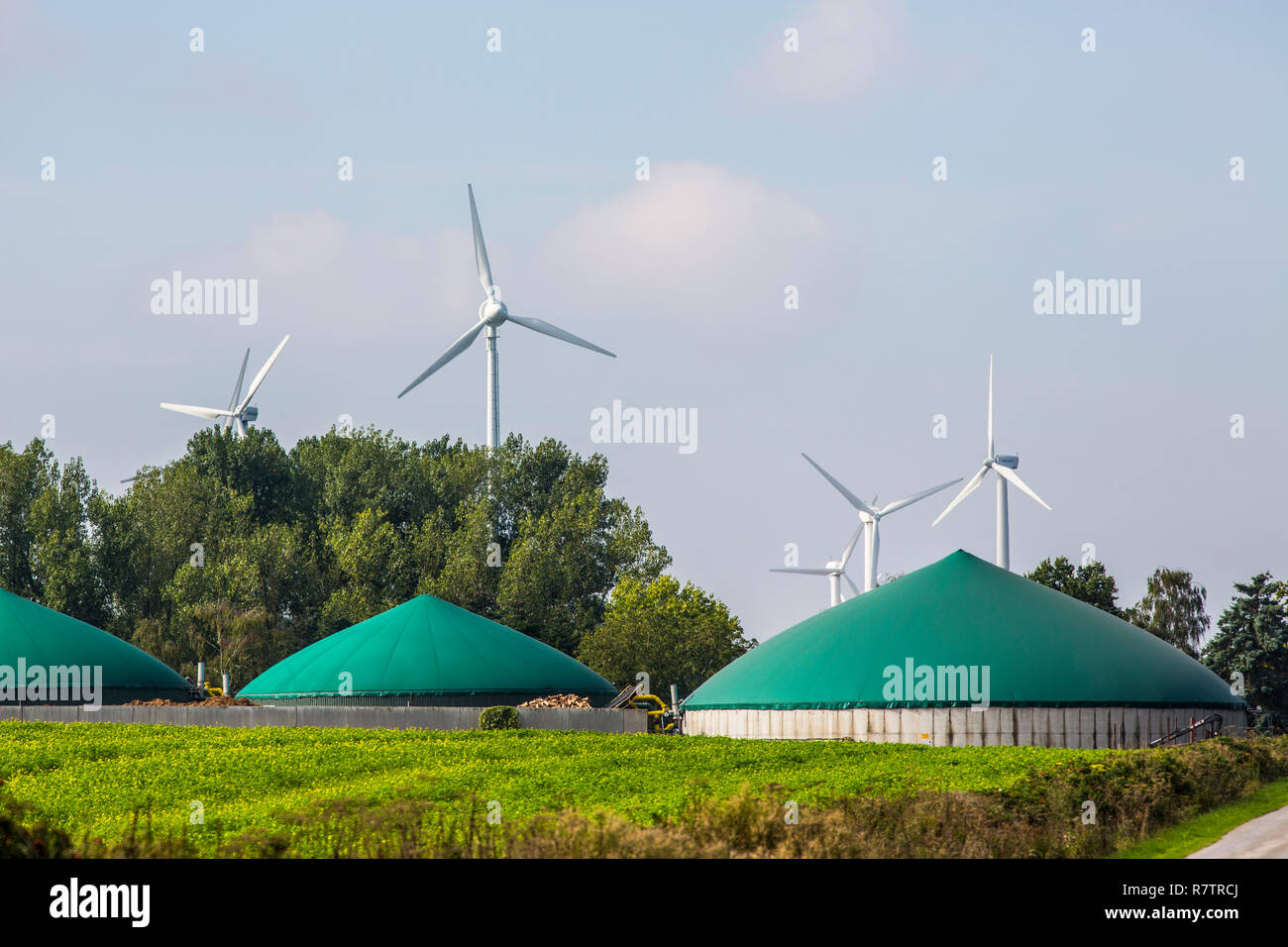 Wind turbines, wind farm and a biogas plant, Werl, North Rhine ...