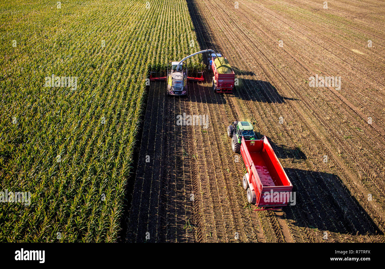 Silage Harvester High Resolution Stock Photography and Images - Alamy