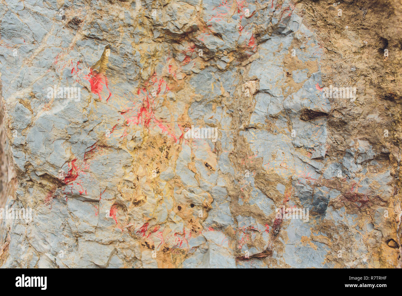 Fossil layers ground surface hi-res stock photography and images - Alamy