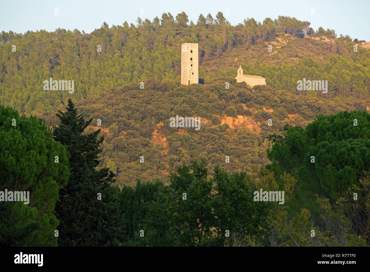 France, Var, Dracenie, Taradeau, Taradel tower and Saint Martin chapel ...