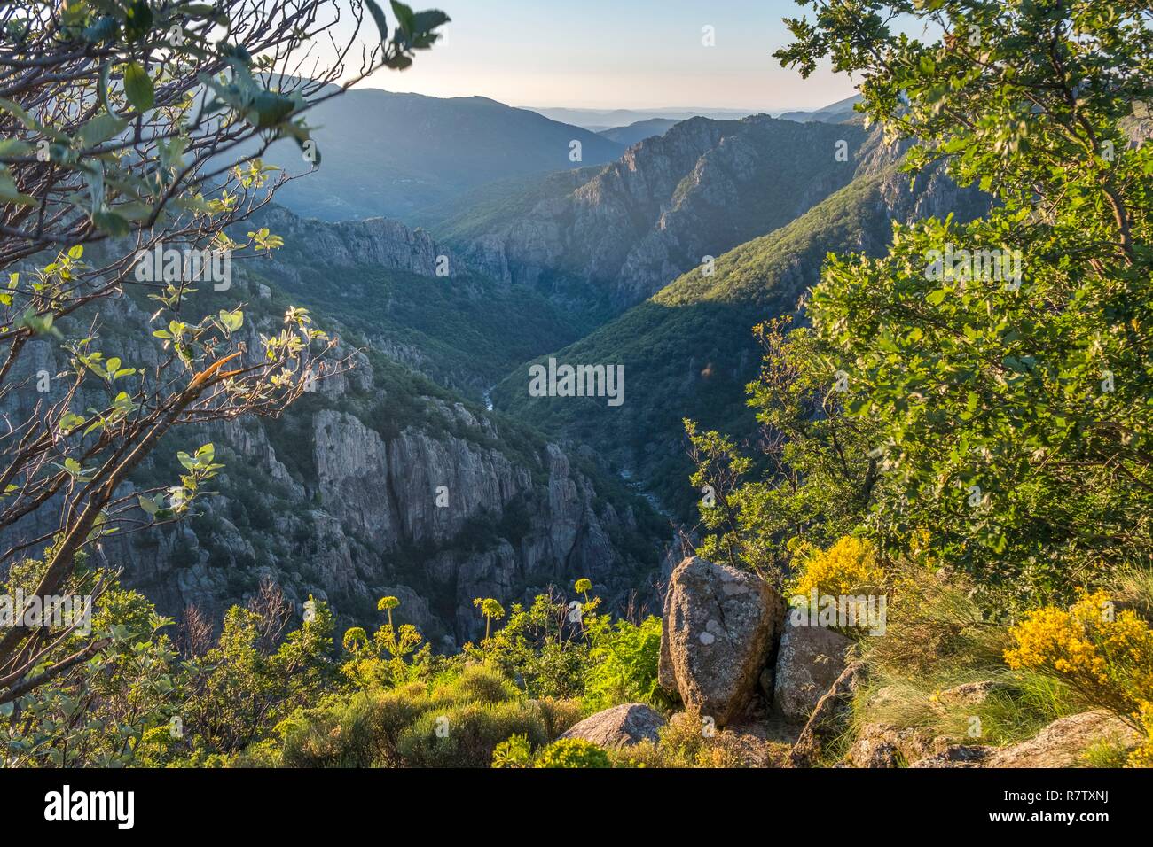 France, Lozere, La Garde Guerin, the gorges of Chassezac River Stock ...