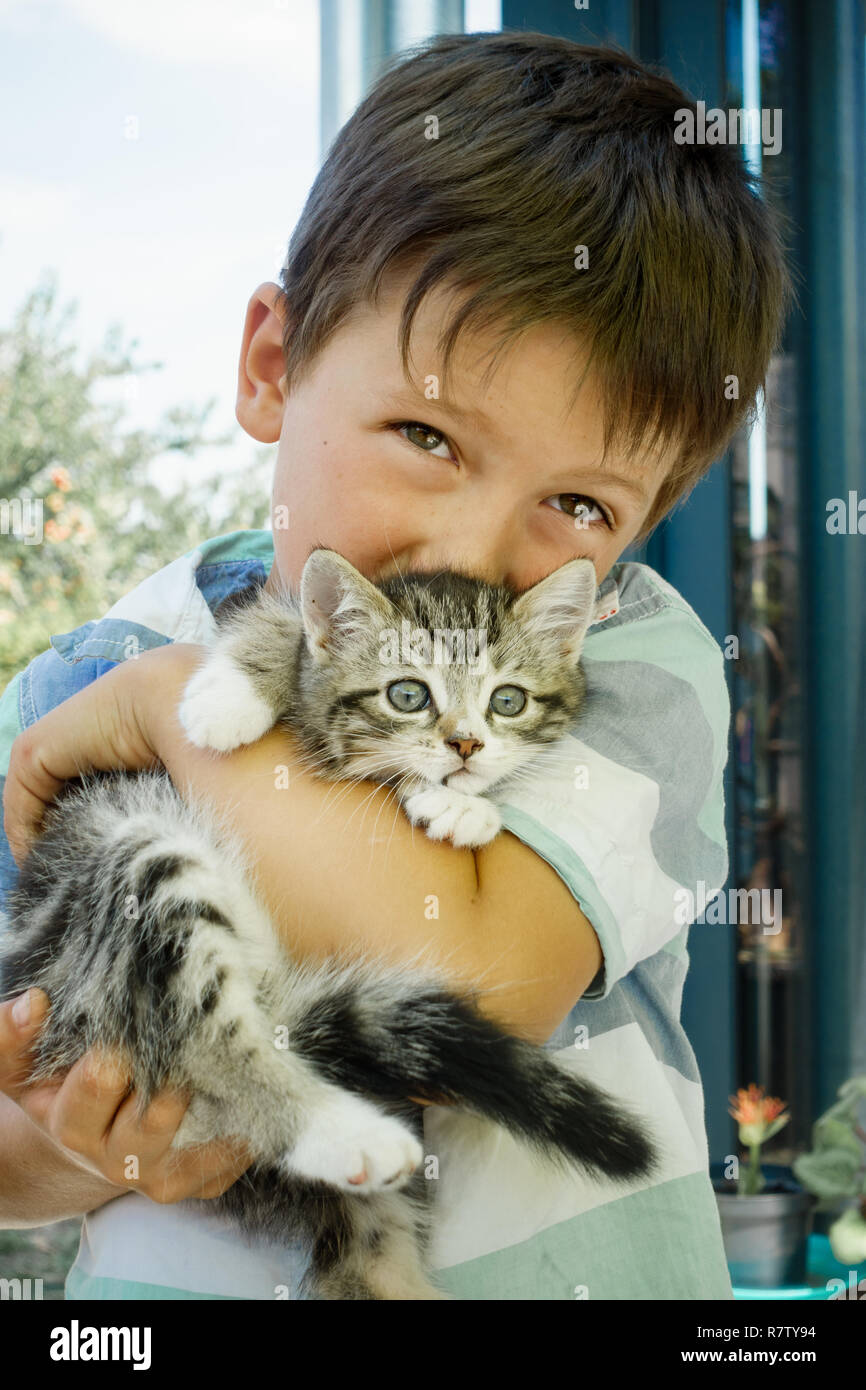 Boy holding cat Stock Photo - Alamy