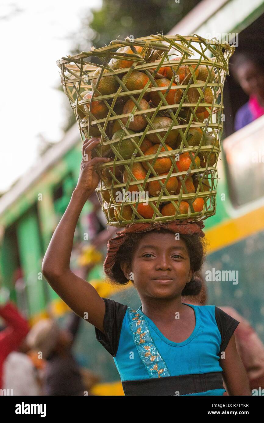 Madagascar rail hi-res stock photography and images - Alamy
