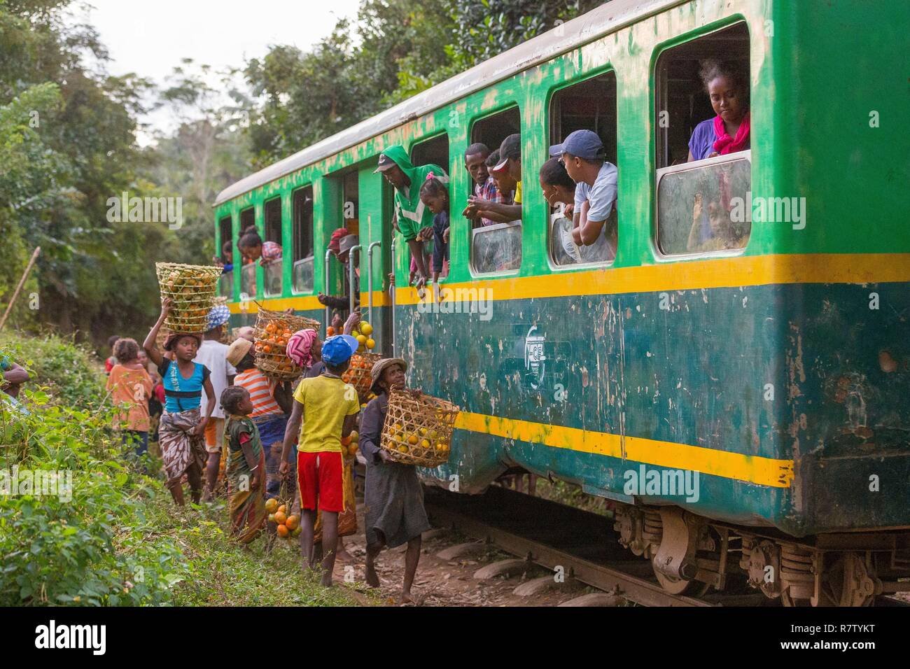 Madagascar Train High Resolution Stock Photography and Images - Alamy
