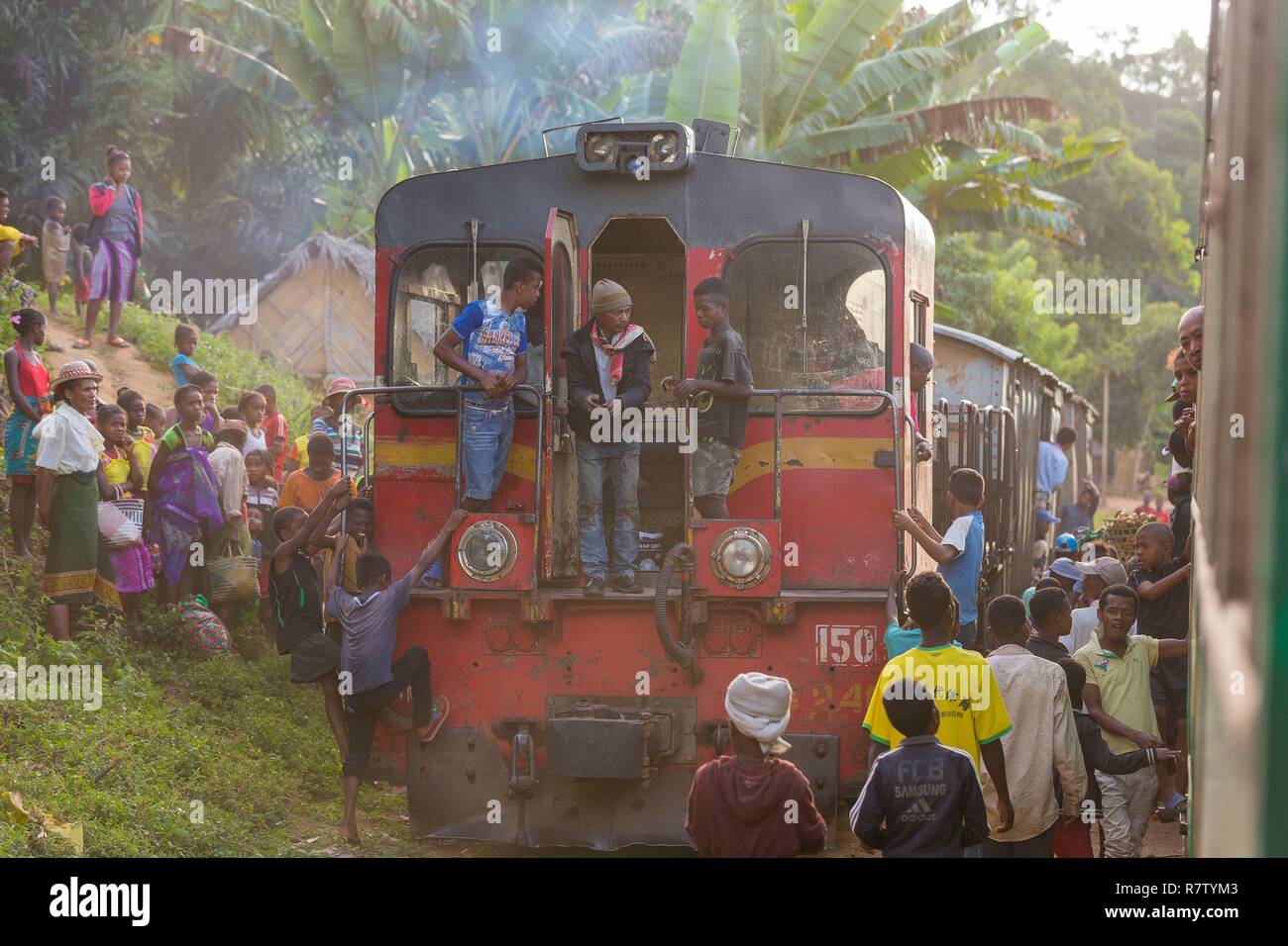 Madagascar, Highlands, Vatovavy Fitovinany region, FCE train between ...