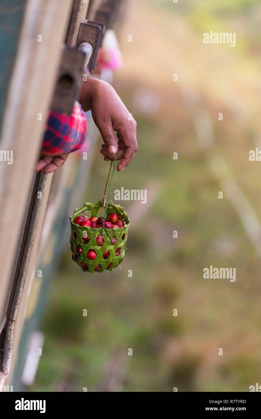 Fce train hi-res stock photography and images - Alamy