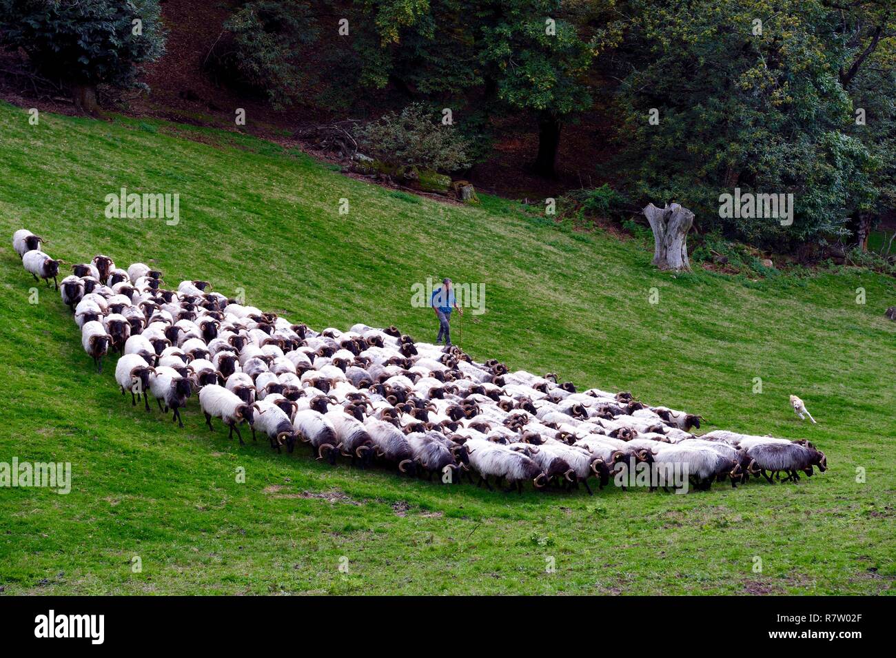 Aldudes High Resolution Stock Photography and Images - Alamy