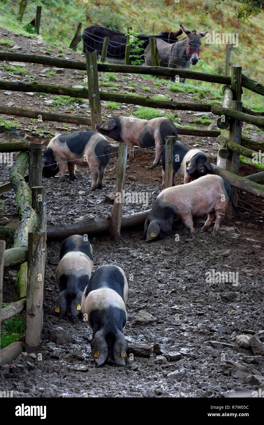 Aldudes hi-res stock photography and images - Alamy